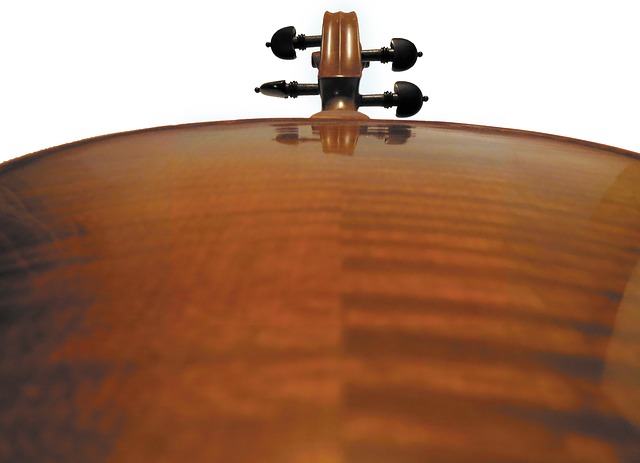 Violin Parts: Complete Piece by Piece Guide (and Bow)