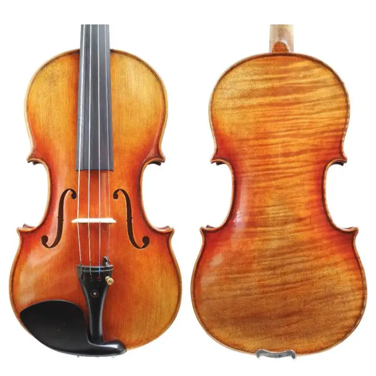 Violin Parts: Complete Piece by Piece Guide (and Bow)