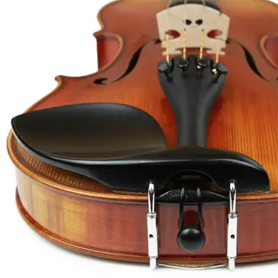 Violin Parts: Complete Piece by Piece Guide (and Bow)