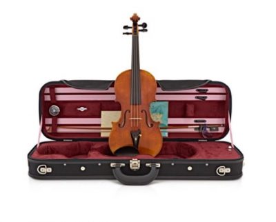Violin Prices: How Much Does A Violin Cost [2024 Price Range]