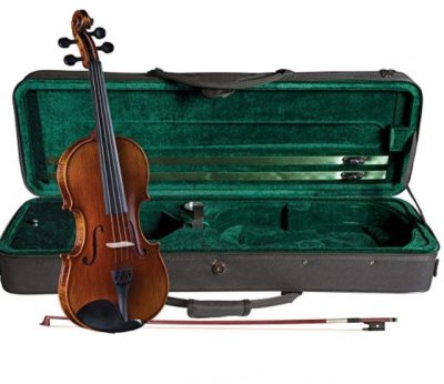 Violin Prices: How Much Does A Violin Cost [2024 Price Range]