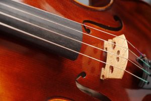 Viola vs Violin: 5 Key Differences Between The Two Instruments
