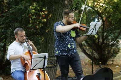 Cello vs Violin: The Differences & Which is Best For YOU?