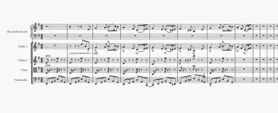 Violin Notes for Beginners: All Basics Explained | NT Instruments