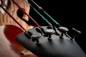 Cello Strings: How to Choose the Right Ones For Your Instrument | NT ...