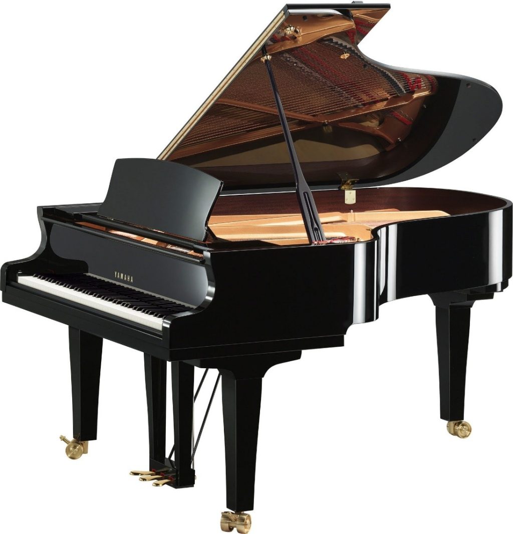 20 Famous Musical Instruments Names And Information | NT Instruments