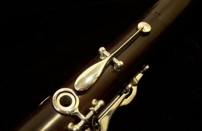 Woodwind instruments in an orchestra | NT Instruments